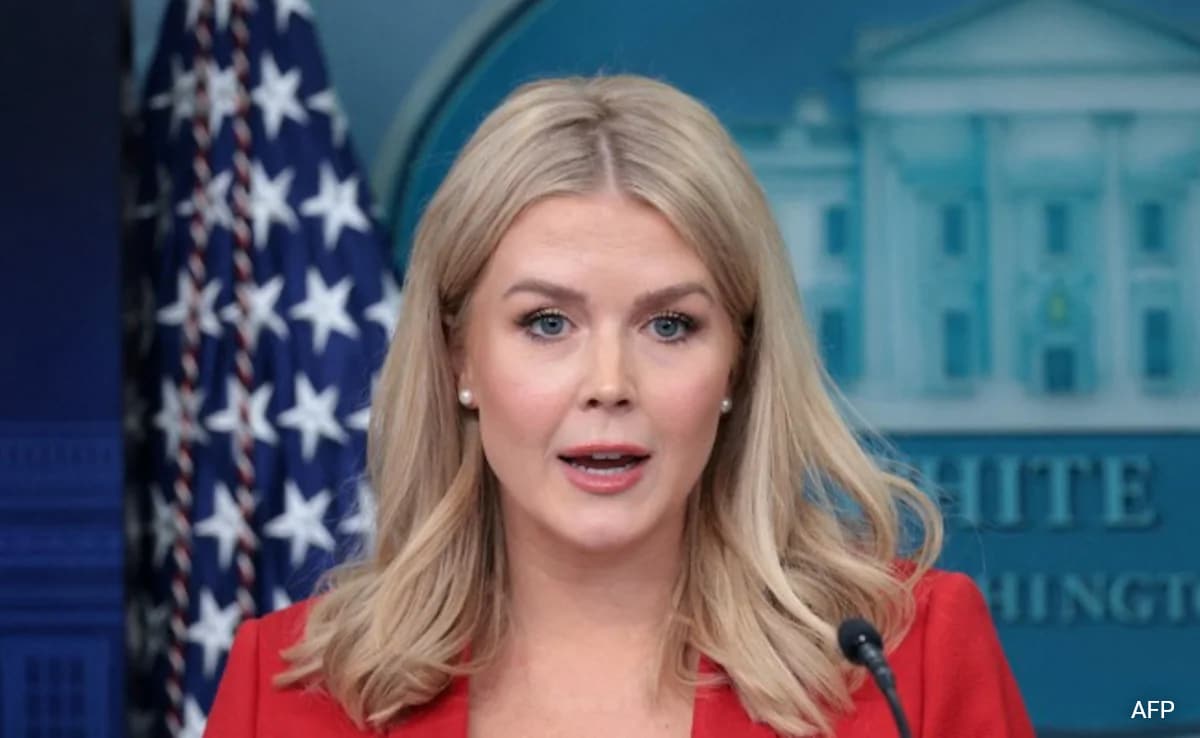 Karoline Leavitt snaps at reporter asking about Jared Kushner raking in ...